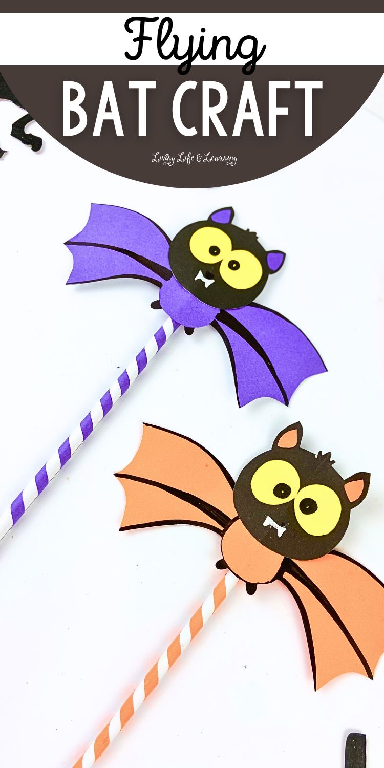 Flying Bat Craft