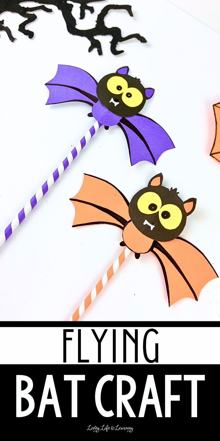 Flying Bat Craft