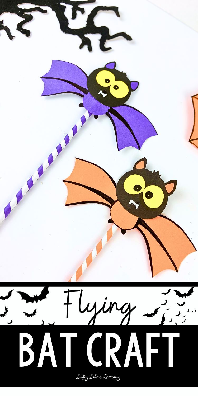 Flying Bat Craft