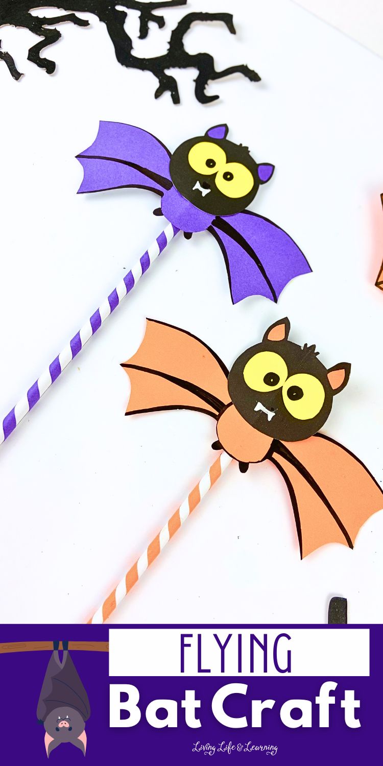 Flying Bat Craft