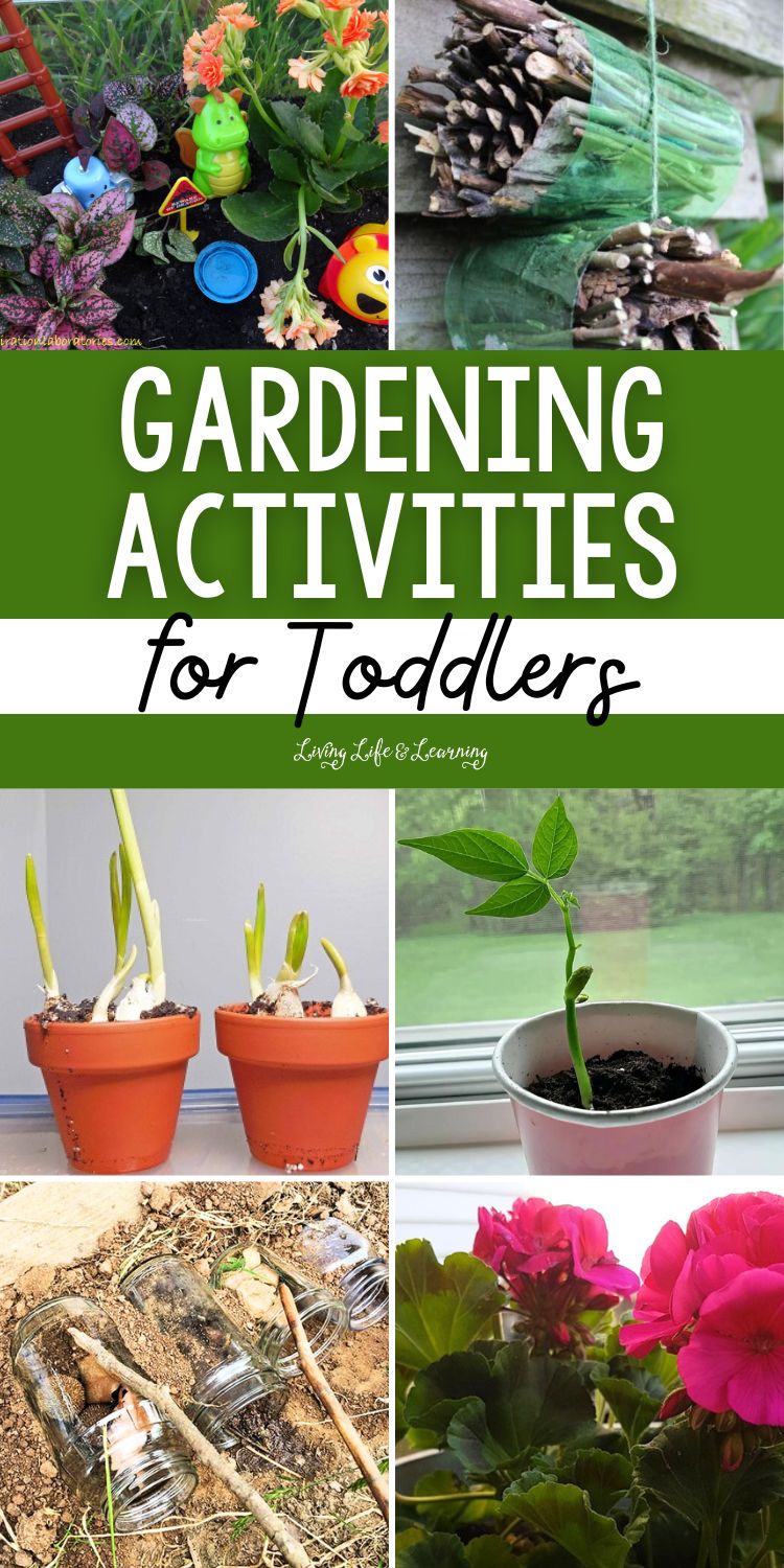 Gardening Activities for Toddlers