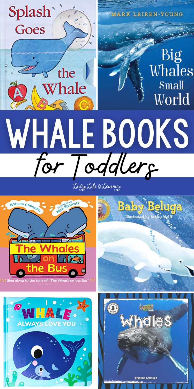 Whale Books for Toddlers