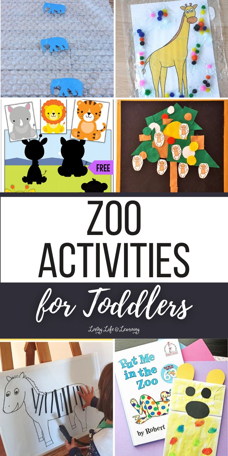 Zoo Activities for Toddlers