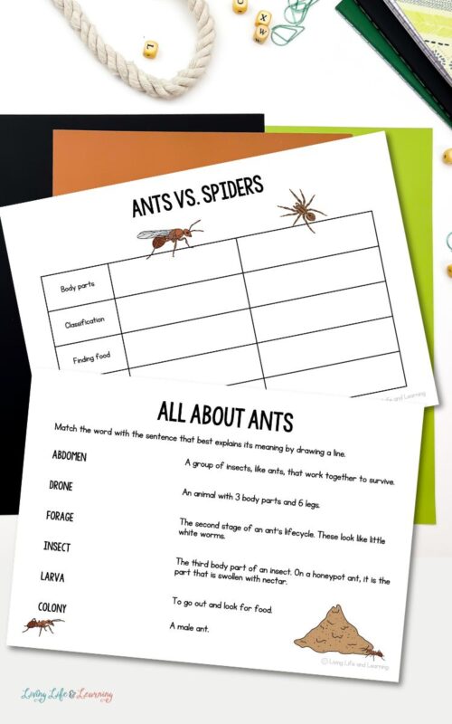 Ant Worksheets