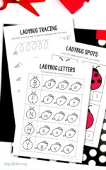 Ladybug Worksheets for Preschool