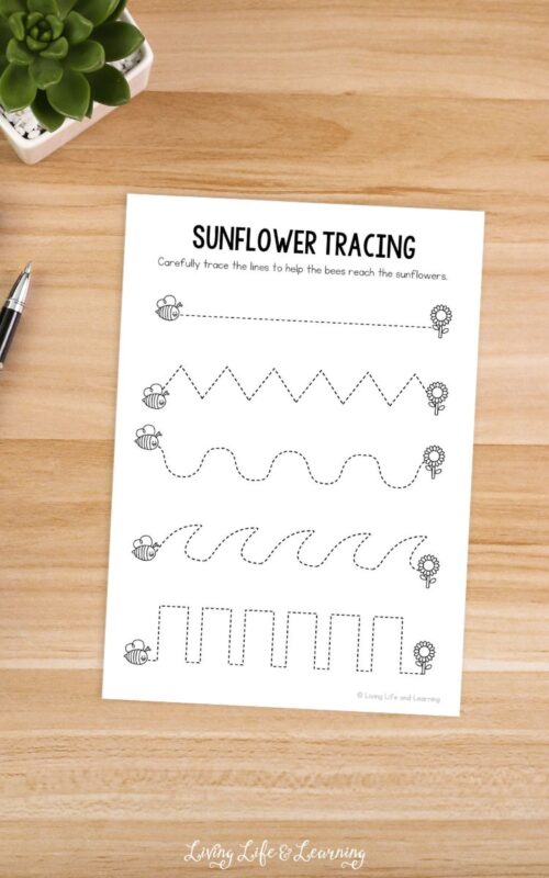 Sunflower Worksheets for Preschoolers