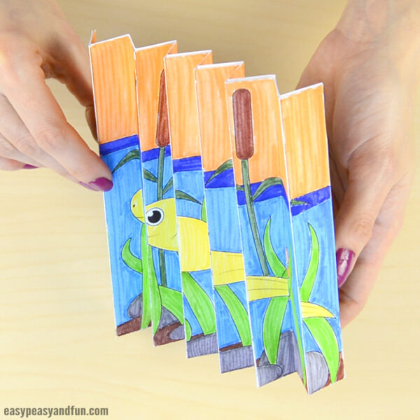 Life Cycle Activities for Toddlers: Explore and Discover