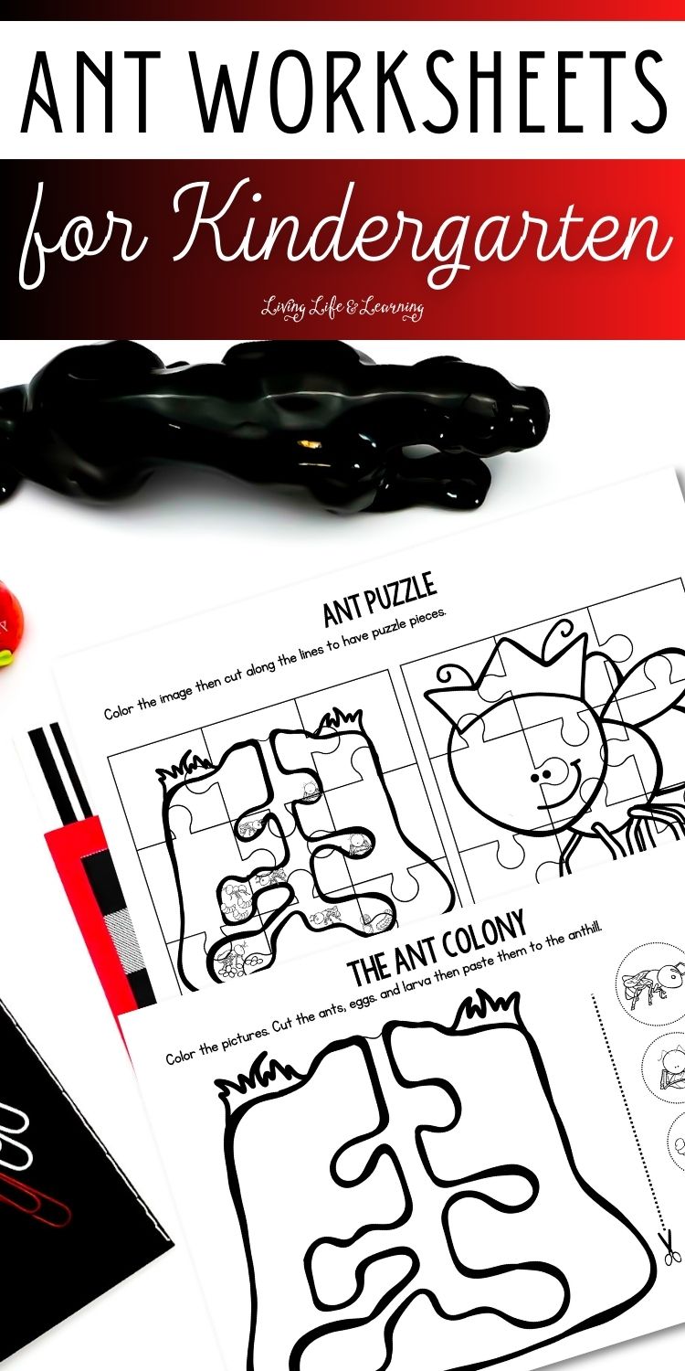 Ant Worksheets for Kindergarten