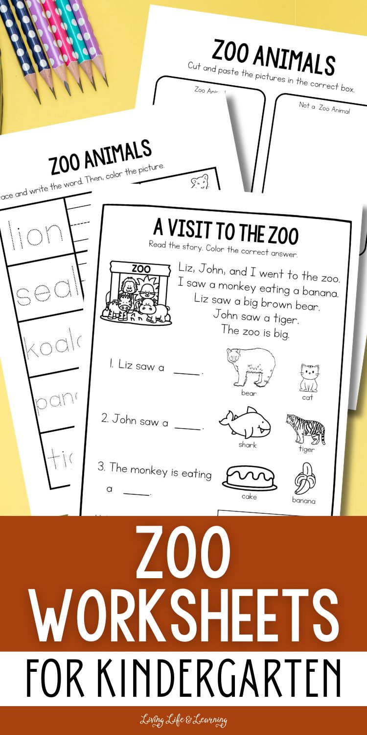 Zoo Worksheets for Kindergarten