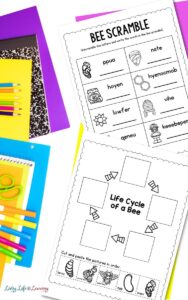 Bee Activity Sheets