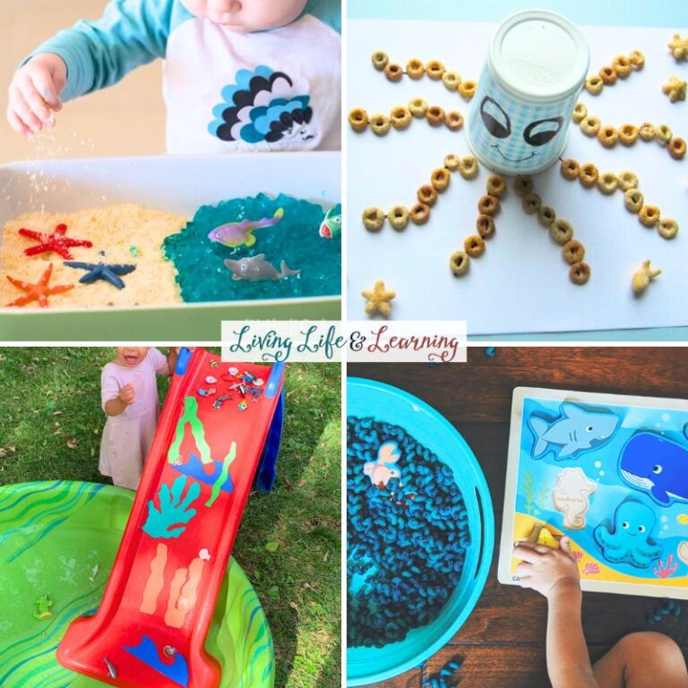 Ocean Toddler Activities