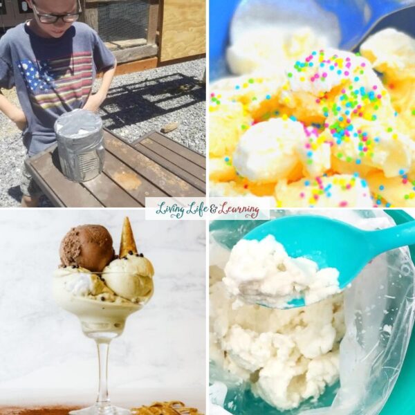 Science Experiments with Ice Cream