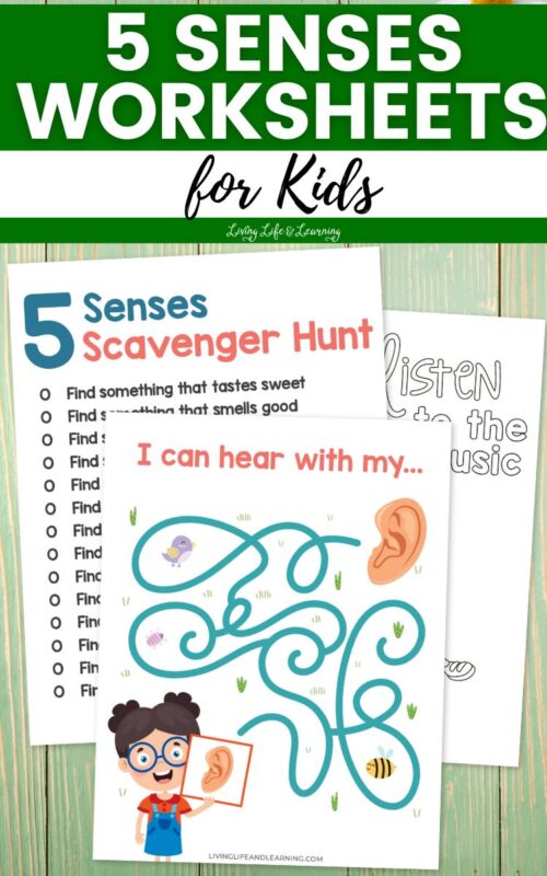 Fun 5 Senses Worksheets for Kids
