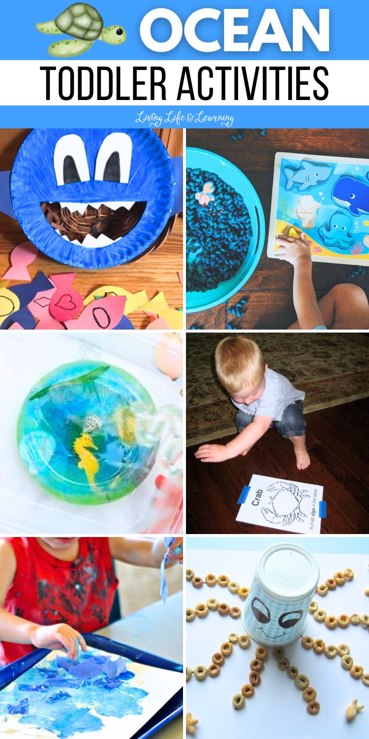 Ocean Toddler Activities
