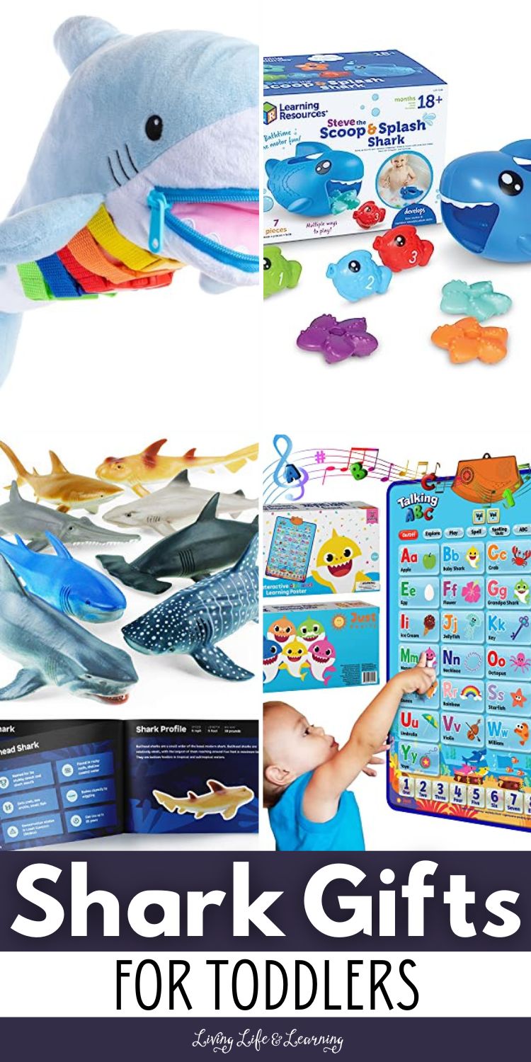 Shark Gifts for Toddlers