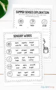 Five Senses of Summer Worksheets