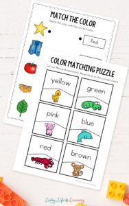 Matching Colors Worksheets