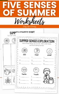 Five Senses of Summer Worksheets