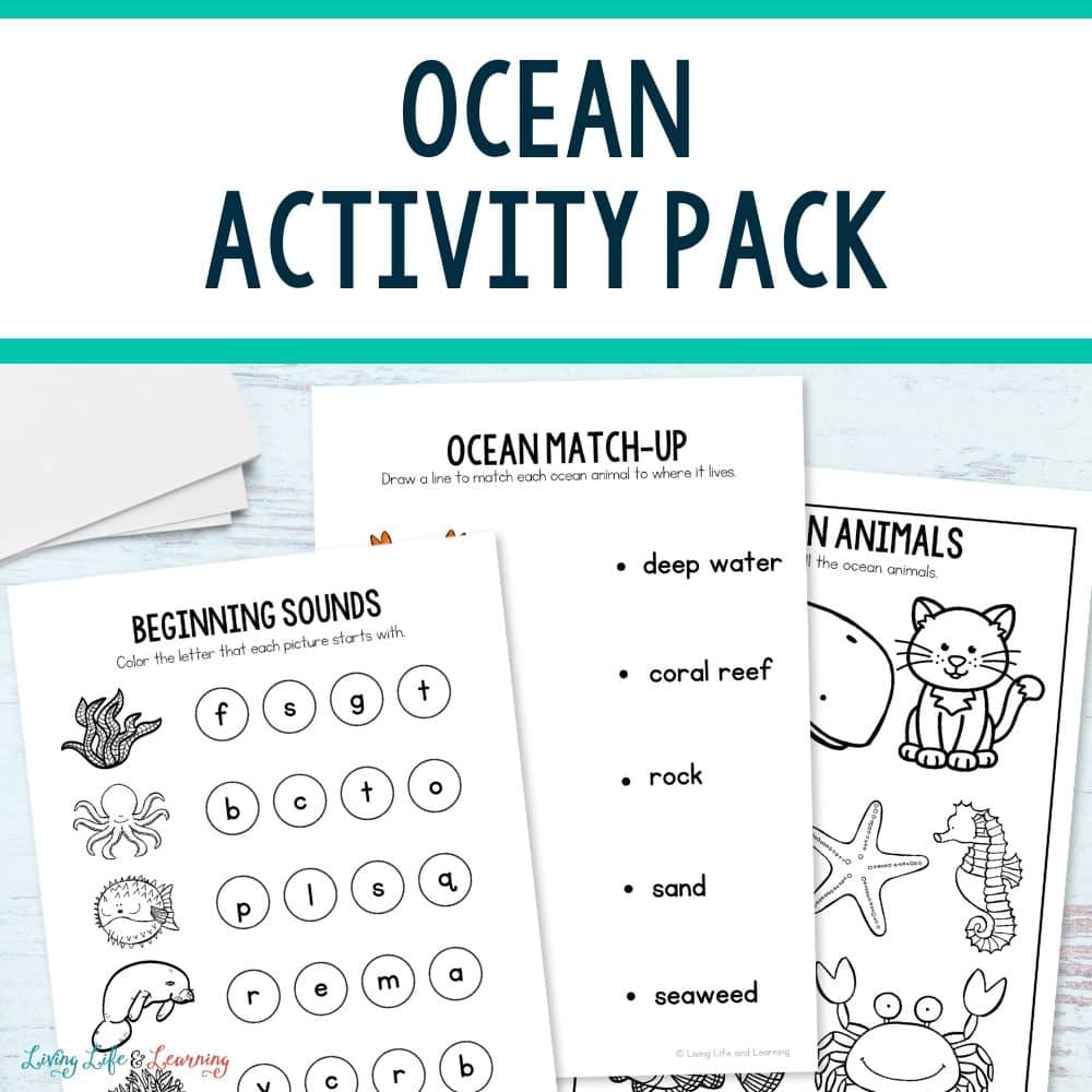 Ocean STEM Activities for Preschoolers and Hands-On Play
