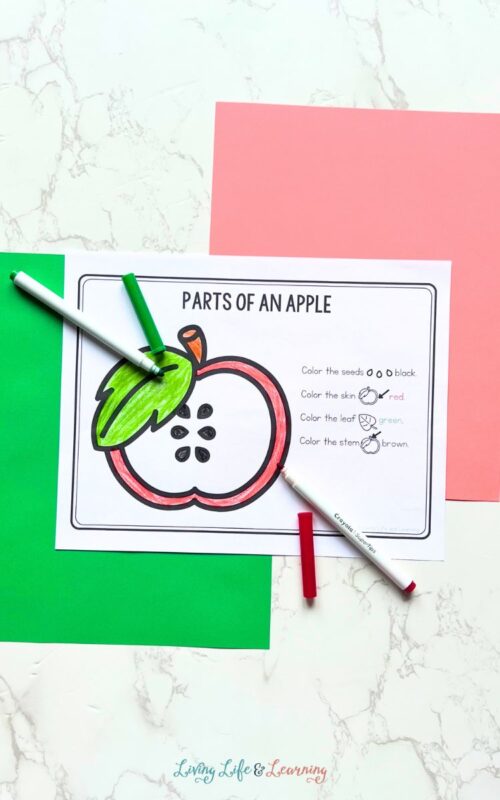 Fun and Educational Parts of an Apple Coloring Pages