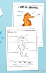 Free Seahorse Worksheets to Teach Kids about Ocean Creatures