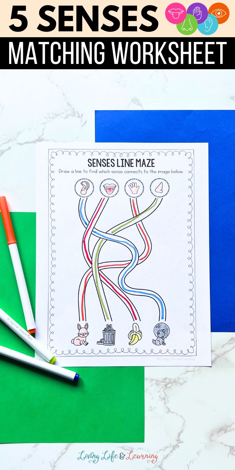 Fun and Educational 5 Senses Matching Worksheet for Kids
