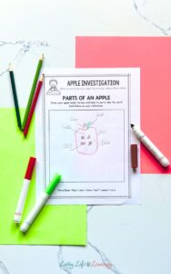 Apple Investigation Worksheet: Exploring the Wonders of Apples