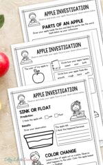 Apple Investigation Worksheet: Exploring the Wonders of Apples