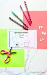Apple Mini Book Printable: Creative Learning for Young Minds