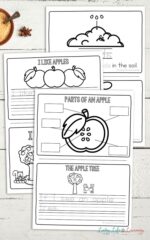 Apple Mini Book Printable: Creative Learning for Young Minds