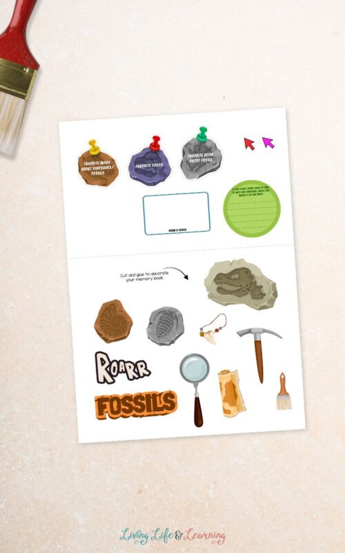 Interactive Fossil Book: Engaging Kids in Paleontology