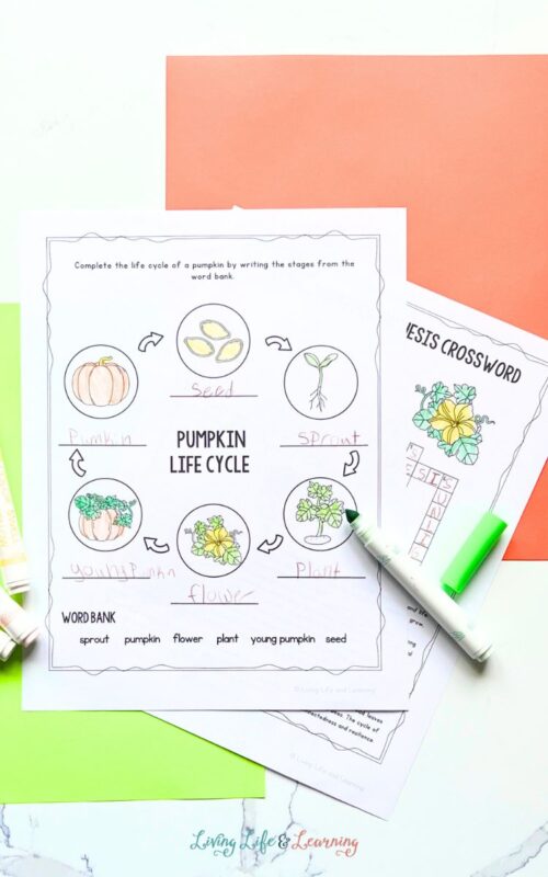 Fun and Educational Pumpkin Science Worksheets