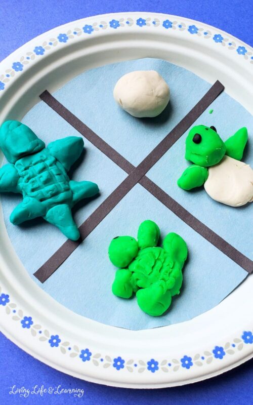 Sea Turtle STEM Activities: Fun Ocean Learning Ideas for All Ages