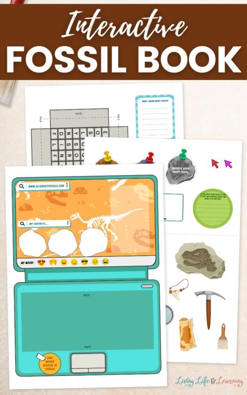 Interactive Fossil Book: Engaging Kids in Paleontology