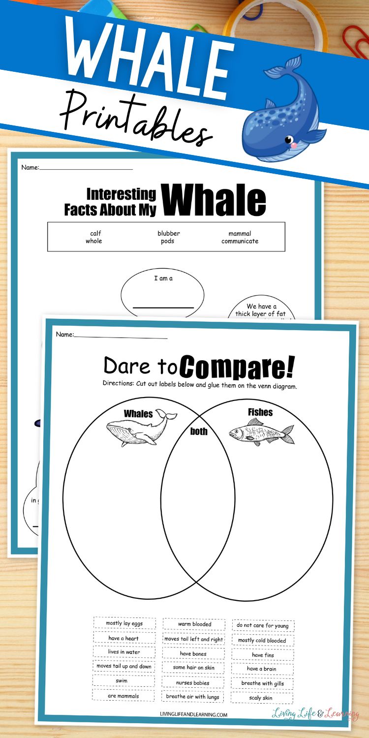 Discover the Ocean with Free Whale Printables