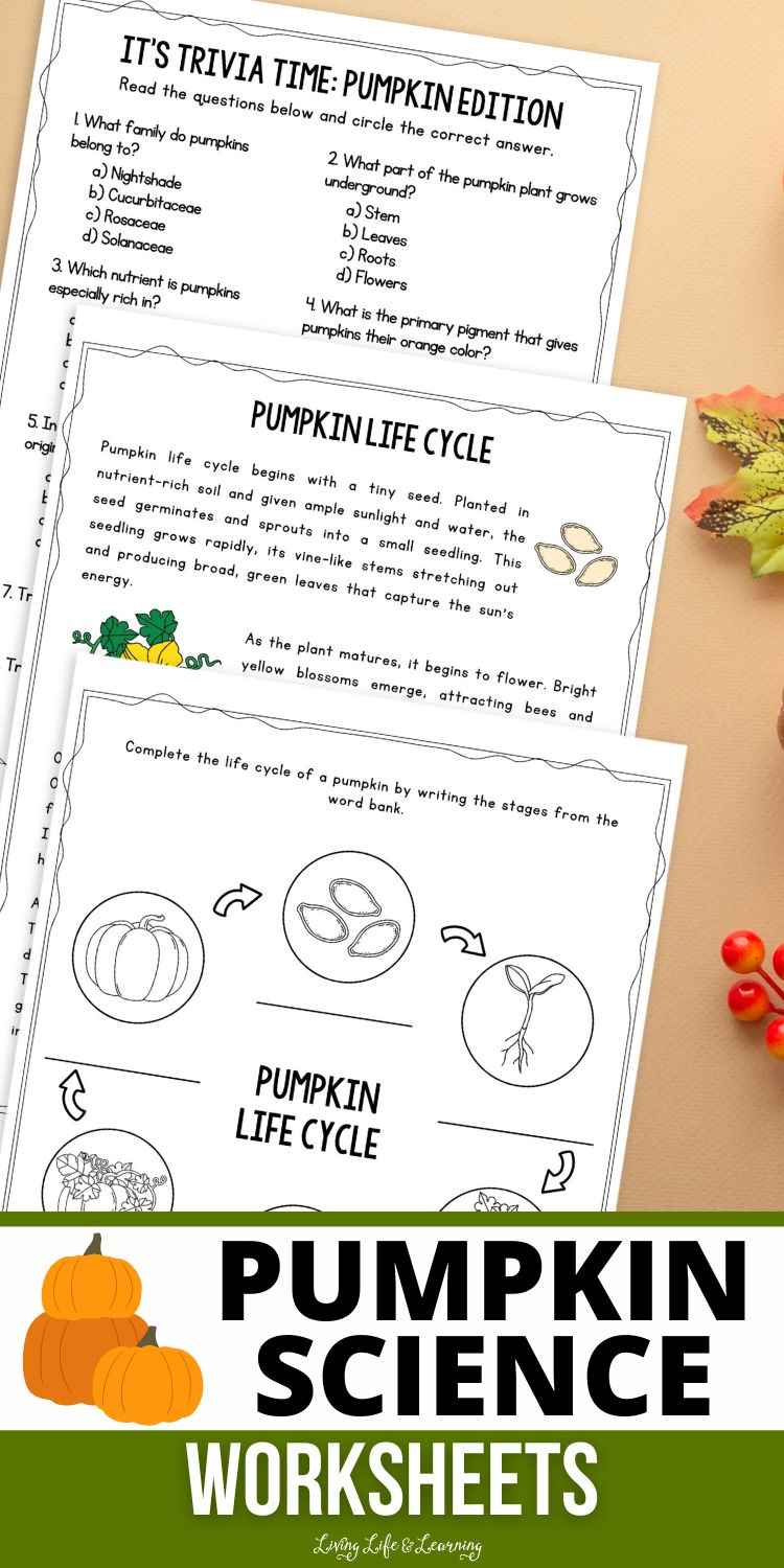 Fun and Educational Pumpkin Science Worksheets