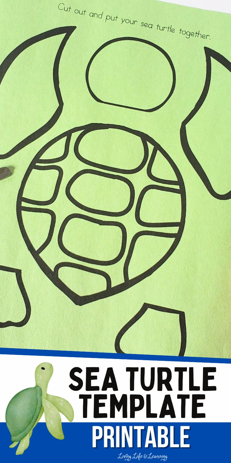 Learn and Explore with a Sea Turtle Template Printable