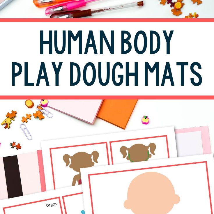 Human Body Printables for Kids: Fun and Educational Worksheets