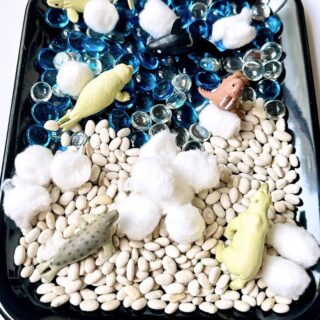 Discover the Arctic with an Engaging Arctic Animals Sensory Bin