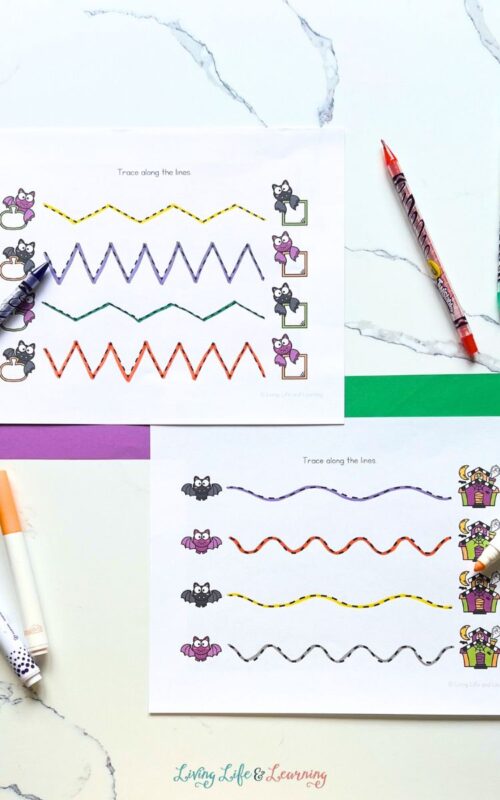 Bat Tracing Worksheets for Fine Motor Skills Development
