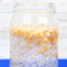 The Dancing Popcorn Experiment: A Fun Chemistry Activity for Kids