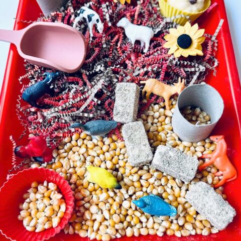 Farm Animals Sensory Bin: Combining Animals and Play for Kids