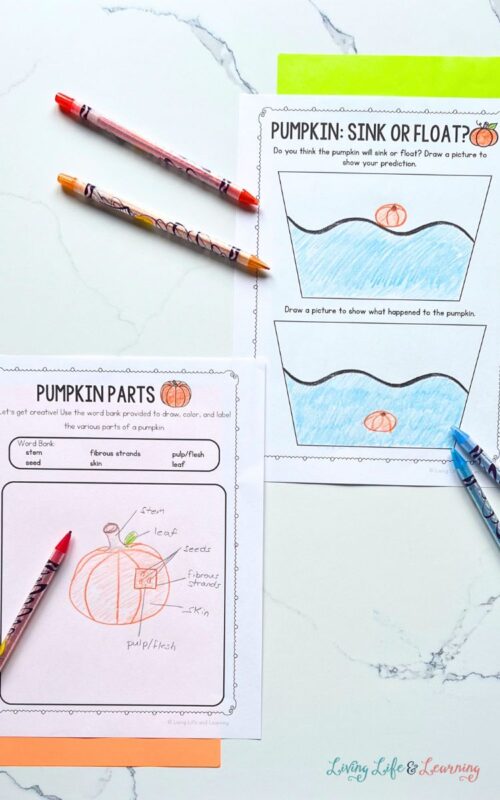 Fun and Interactive Pumpkin Investigation Worksheet for Kids