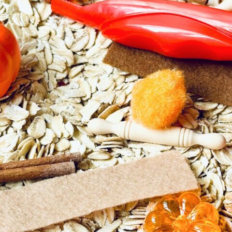 Engage Your Senses with a Pumpkin Pie Sensory Bin