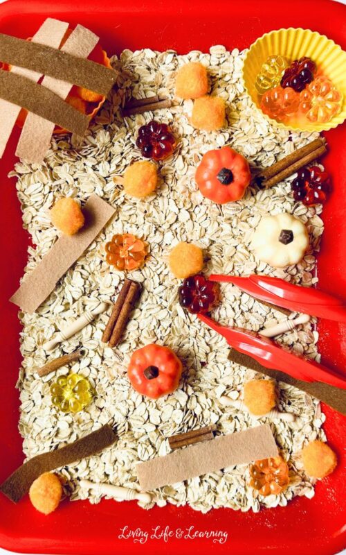 Engage Your Senses with a Pumpkin Pie Sensory Bin