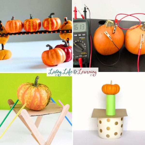 Engaging Pumpkin STEM Activities for Elementary Students