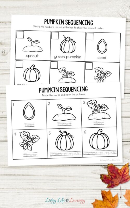 Pumpkin Sequencing Worksheet: Explore the Pumpkin Life Cycle