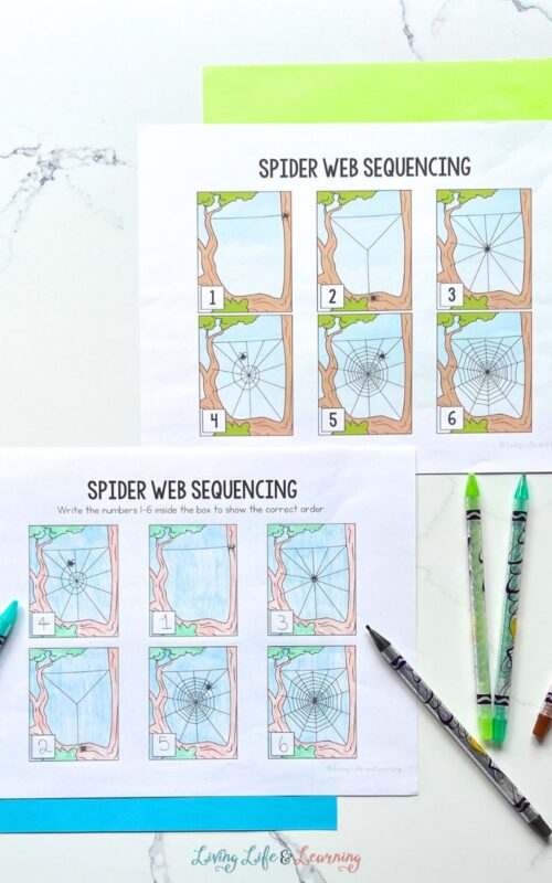 Spider Web Sequencing Worksheet: Fun and Educational Activity