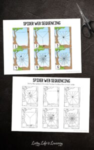 Spider Web Sequencing Worksheet: Fun and Educational Activity
