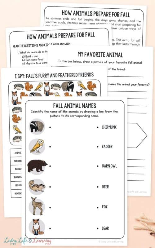 Exploring Fall Adaptation: Animals in Fall Worksheet